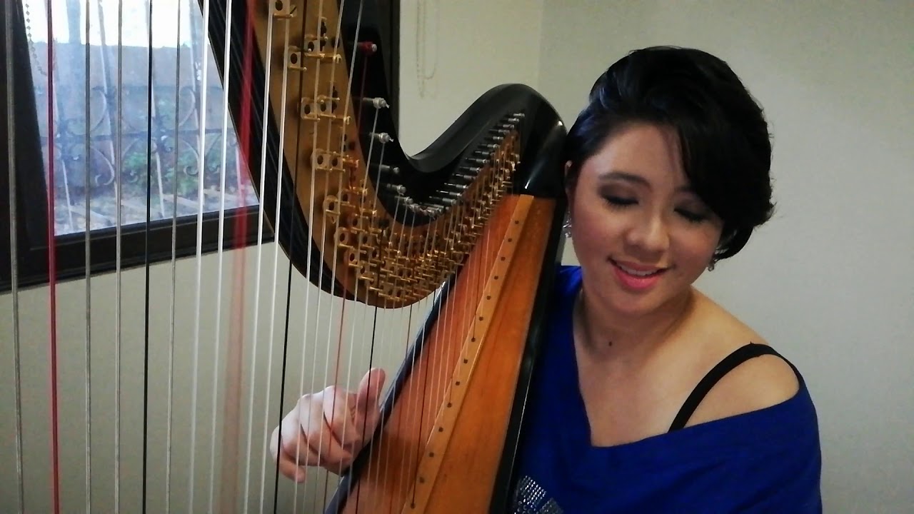 Calvin Harris and Sam Smith - Promises (Acoustic Harp cover by Noelle ...
