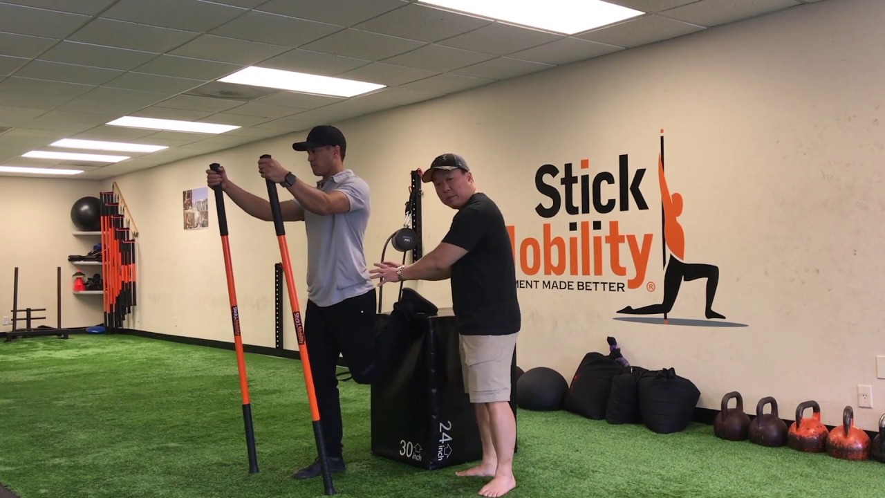 Multiplanar Hip Mobility and Control Regression - Stick Mobility ...