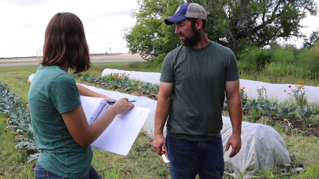 Organic Control of Cabbage Pests with Ross and Amber Lockhart - YouTube