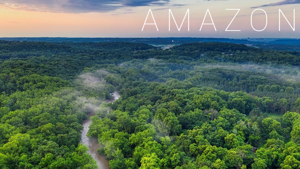 Amazon jungle. 8k video cinematic shot - YouTube