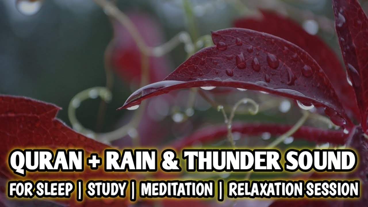 Rain And Peace Quran Recitation For Sleeping Relaxation Meditation ...