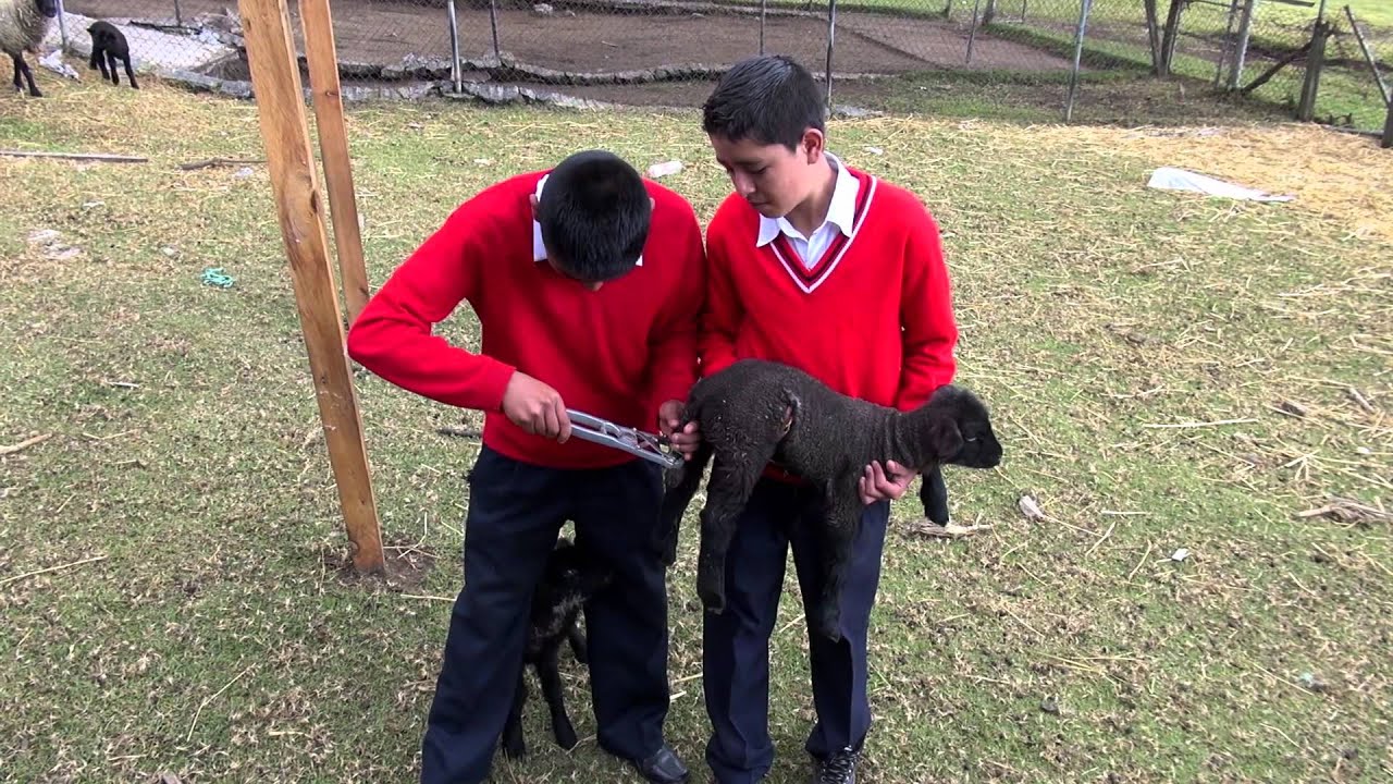 ESTA 10: Vivir en un Internado - YouTube
