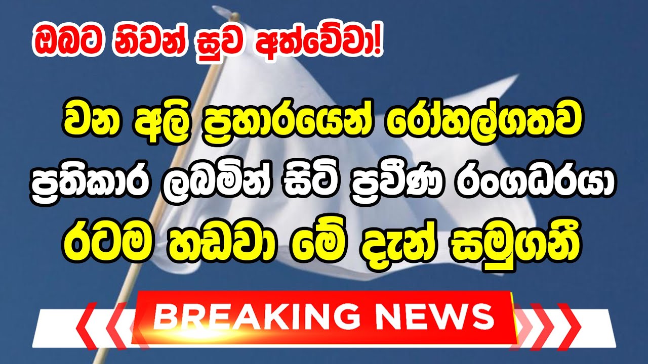 ada derana sinhala news today | Hiru sinhala BREAKING NEWS | Breaking ...