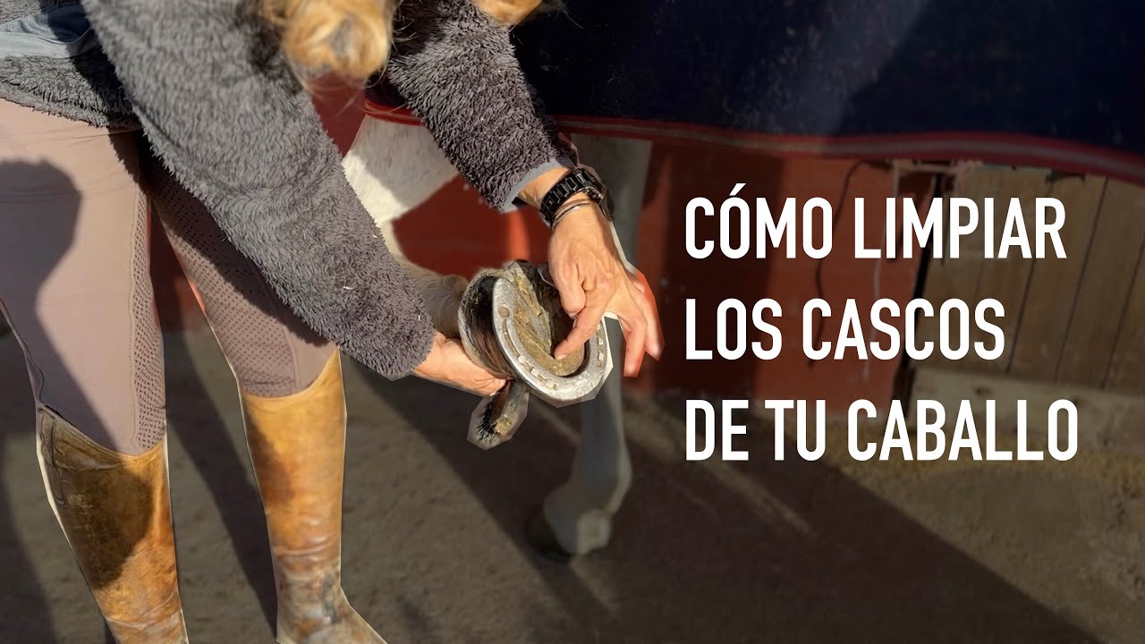 Cómo limpiar los cascos de tu caballo PASO A PASO - YouTube