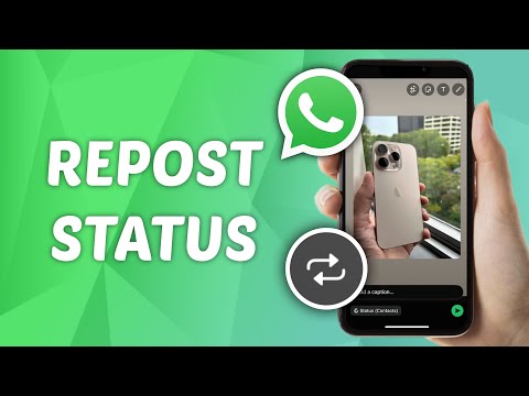 How to Repost Someones Status on WhatsApp