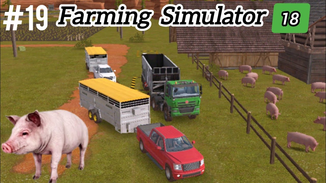 Buying Pigs, Unload Pigs In Pig Farm and Feeding Pigs / Fs 18 Timelapse ...