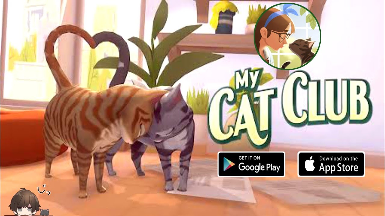 My Cat Club: Collect Kittens Gameplay - Pet Cats Game Android IOS - YouTube