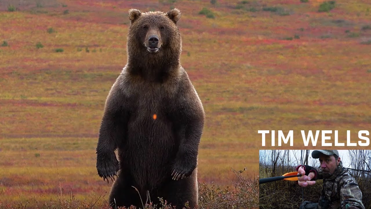 Tim Wells Shoots Grizzly Bear and Morrell? - YouTube