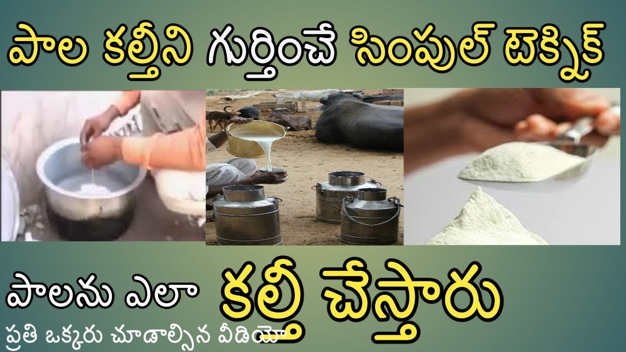 How to identify kalthi milk telugu || Mohan allintelugu - YouTube