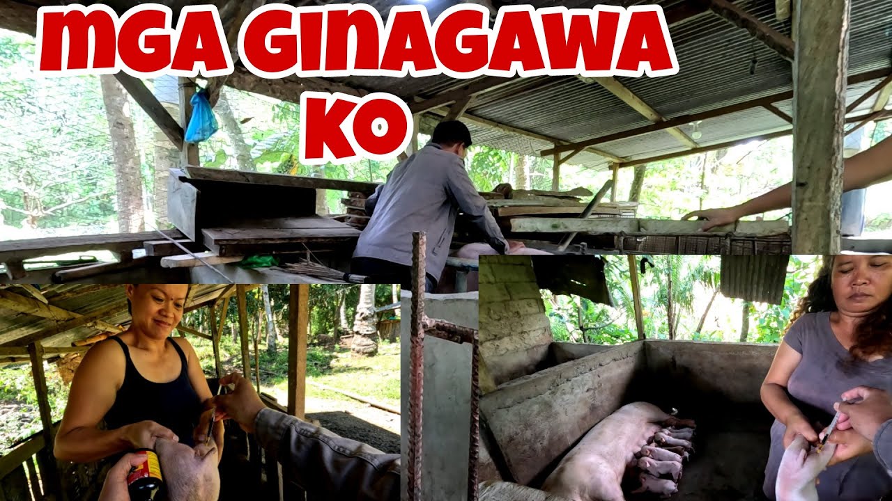 Ito Ang Mga Ginagawa Ko Araw araw#japersniper #betirinaryosabaryo - YouTube