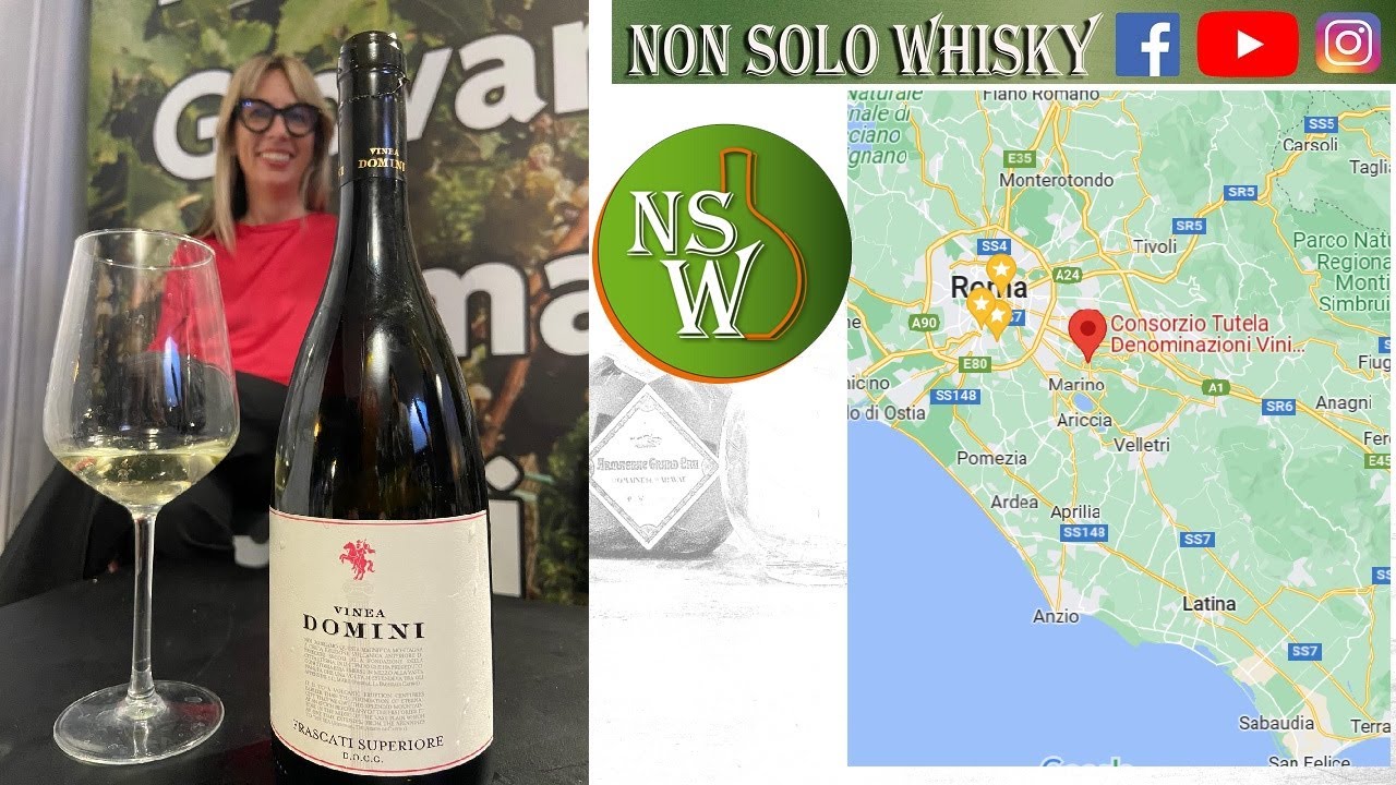 Vinea Domini Docg Frascati Superiore13% (Vino forum 2023) - YouTube