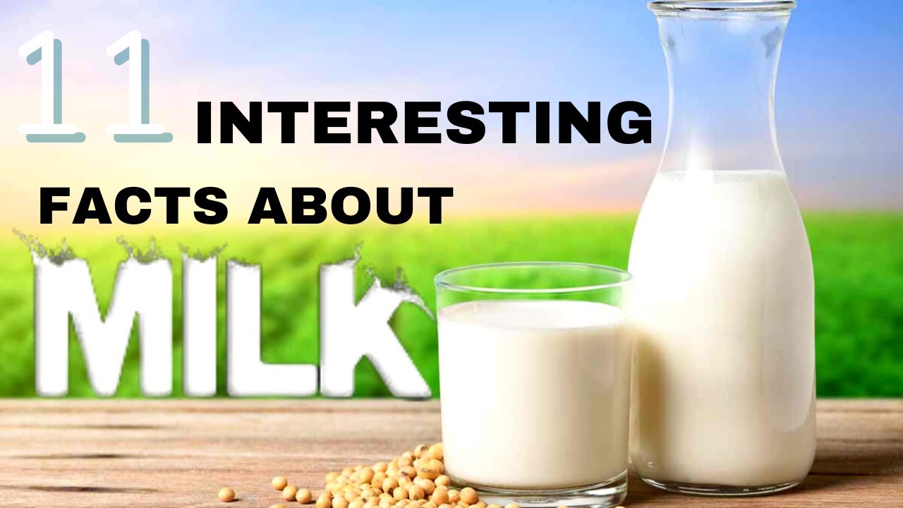 11 Must Know Facts about Milk - YouTube