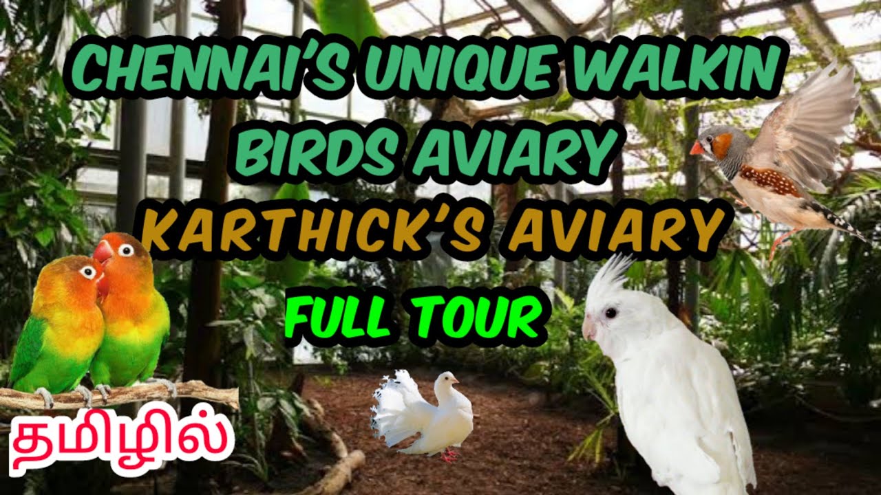 Walk in aviary tour| Chennai's walkin aviary. Aviary in tamil | Aviary ...