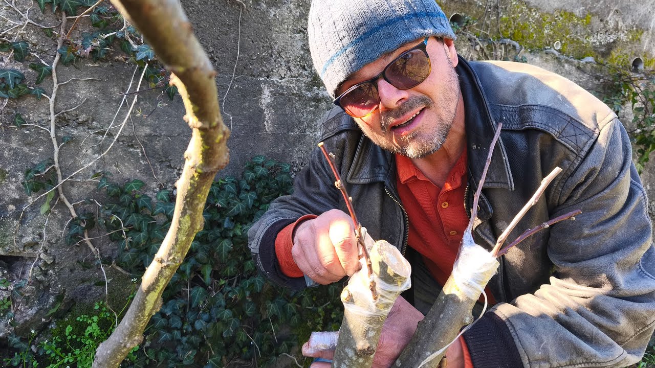 🌿 Transforming the Land: Fallen Walls, Grafting, Pruning, Sowing and ...