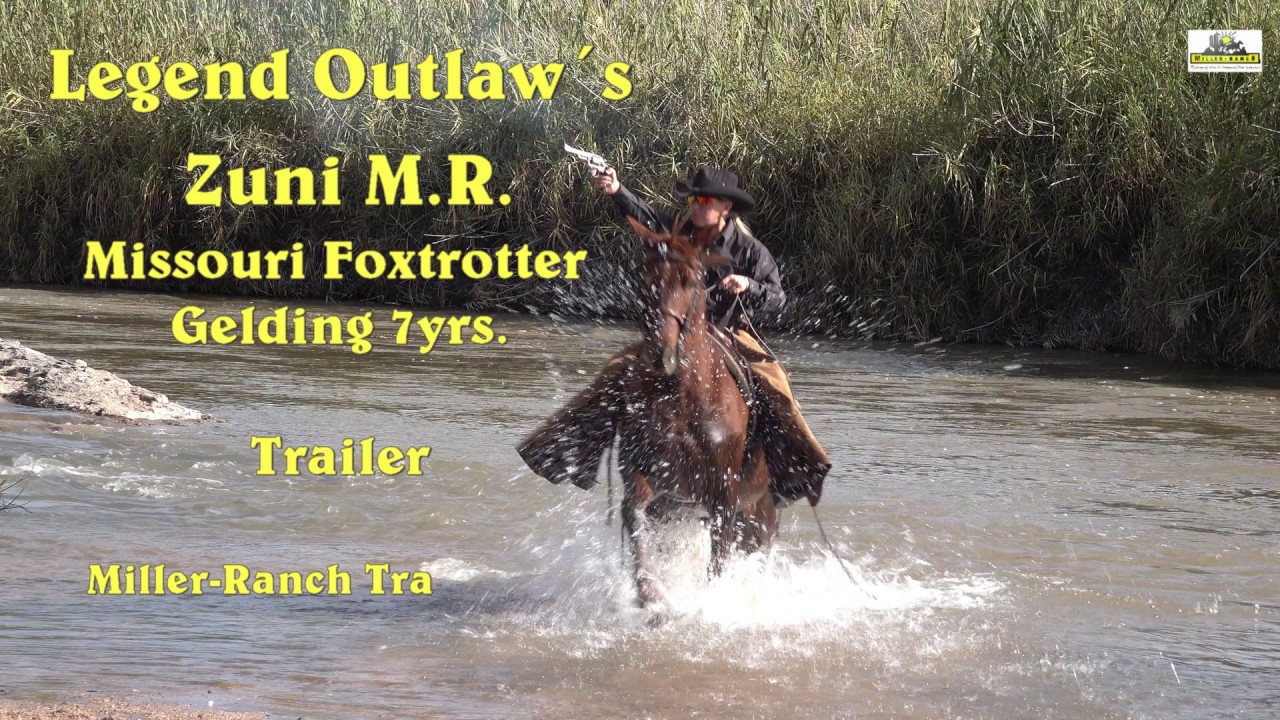 Legend Outlaw's Zuni M.R Missouri Foxtrotter - Miller-Ranch Trail Horse ...