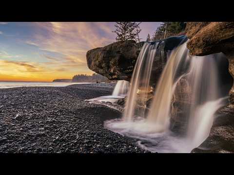 Where the sun touches the Forest, Beautiful Relaxing Music, Peaceful Soothing Music, by Tim Janis