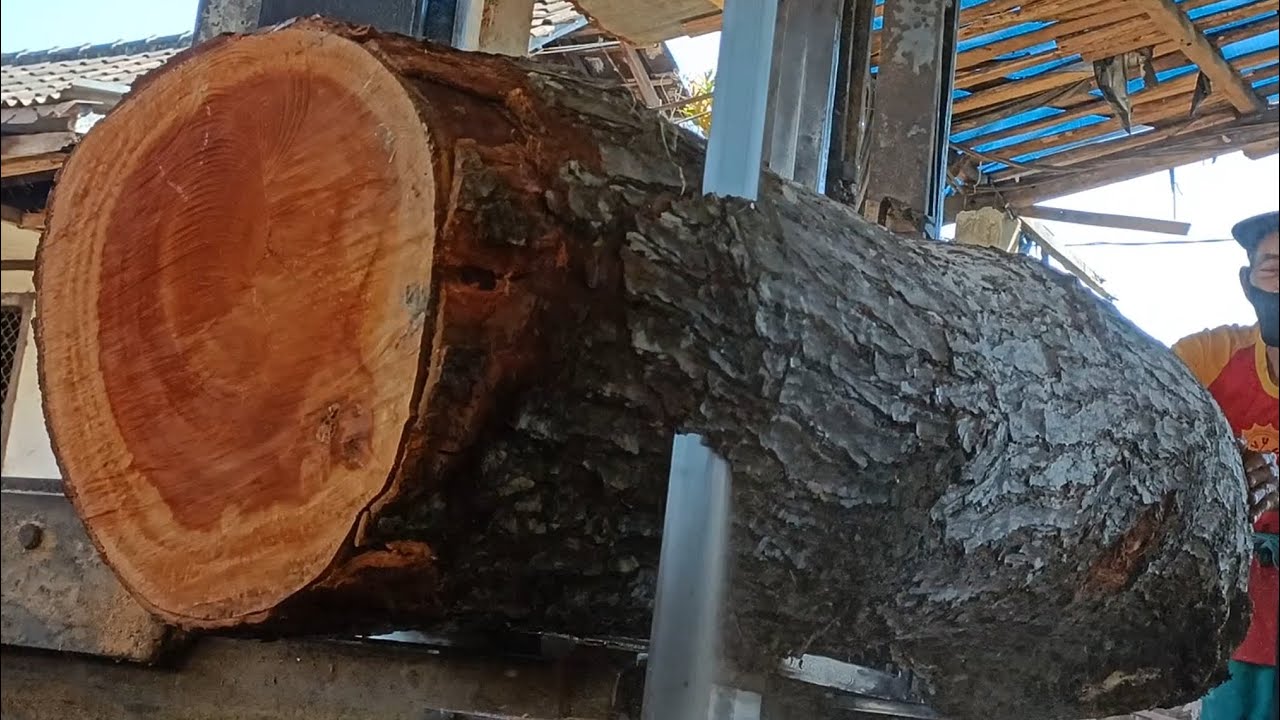 Excellent woodworking in mahogany sawmill || Board making - YouTube