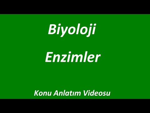 ENZİMLER - KONU ANLATIMI - BİYOLOJİ - İZLE - ÖĞREN Soru Çözümü, Konu Anlatımı