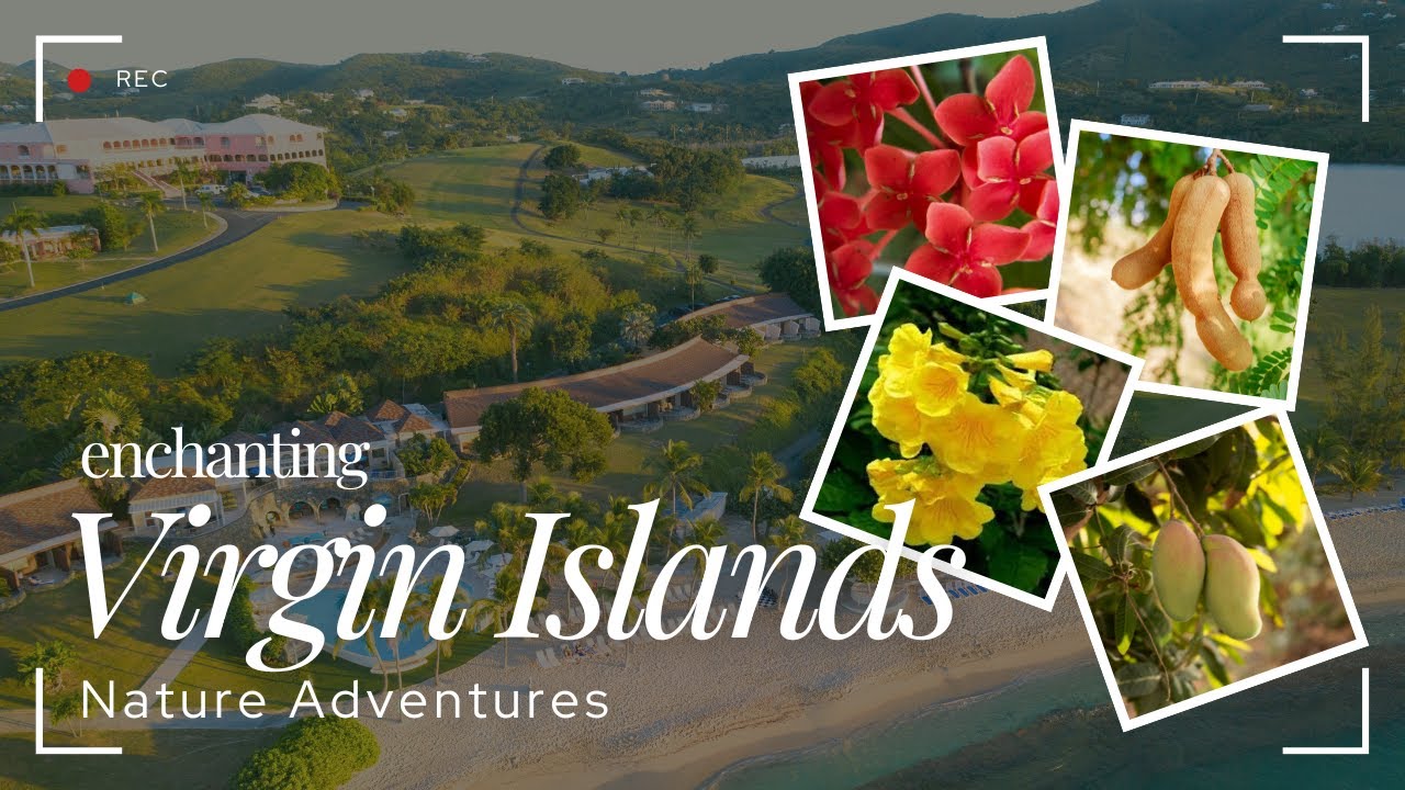 Breathtaking Nature Adventures in St. Croix! - YouTube