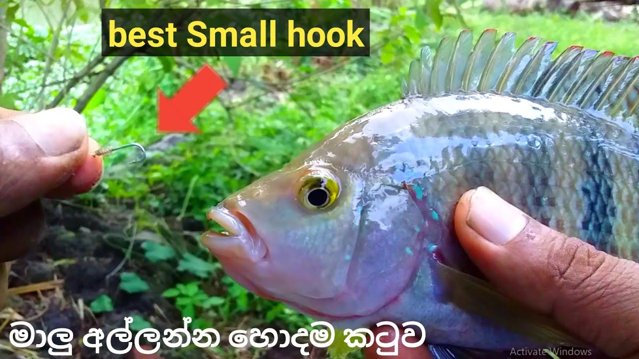 Amazing Fish Catching | Small Fish Catching | Best Hook For Fishing ...