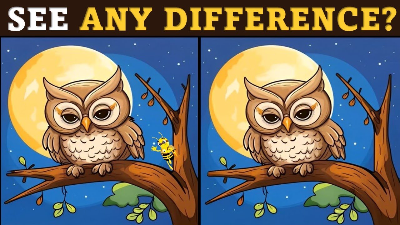 Spot The 3 Differences in 30 Seconds || Genius Can Find Differences ...