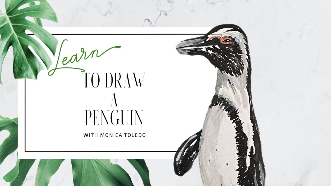 African penguin Drawing - YouTube