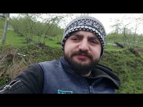 İNEK DOĞUM YAPTI.YENİ BUZAGİM.KIŞ GERİ GELDİ#mera#köyhayatı#trabzon#hayvancılık#jersey#inek#buzağı