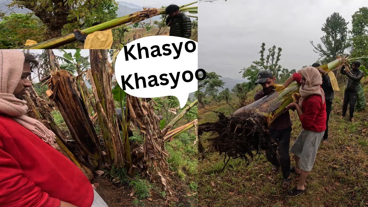 Kera ko Bot Lina Jada Khasyo🤣 - YouTube