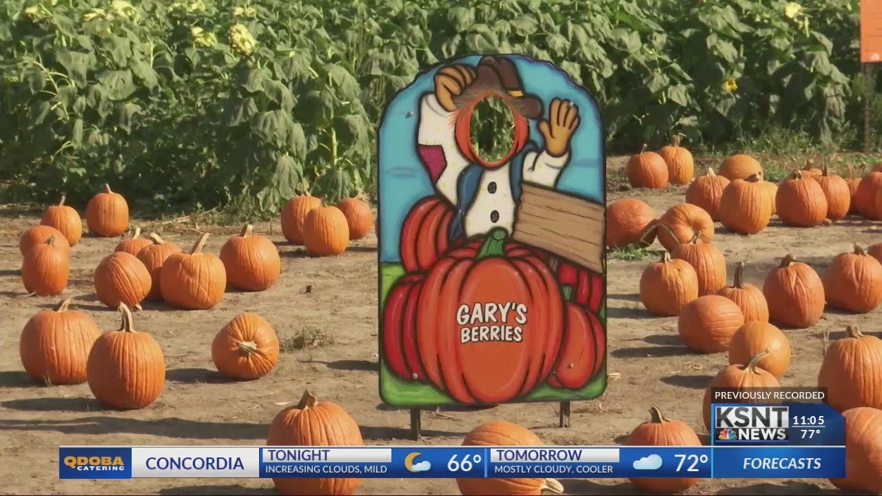 Gary's Berries pumpkin patch, festival open for fall season - YouTube