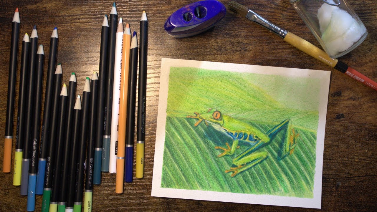 Let's Draw a Red Eyed Tree Frog ~Time-Lapse ~🐸🌹~ Colored Pencil Drawing ...