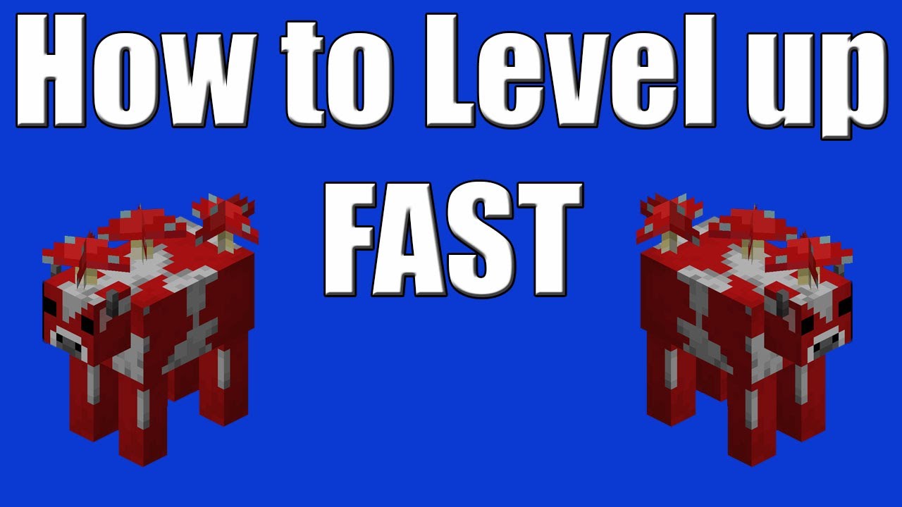 Fastest Way To Level Up In Minecraft Dungeons - YouTube