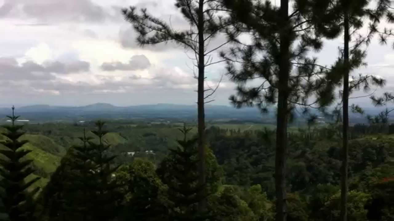 Mountain Pines Place Bukidnon Vacation - YouTube