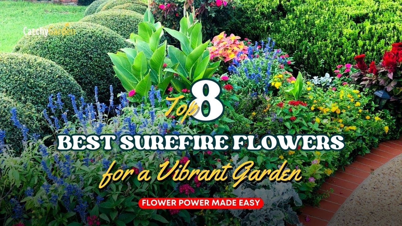 Flower Power Made Easy: 8 Best Surefire Flowers for a Vibrant Garden 🌻🌺 ...
