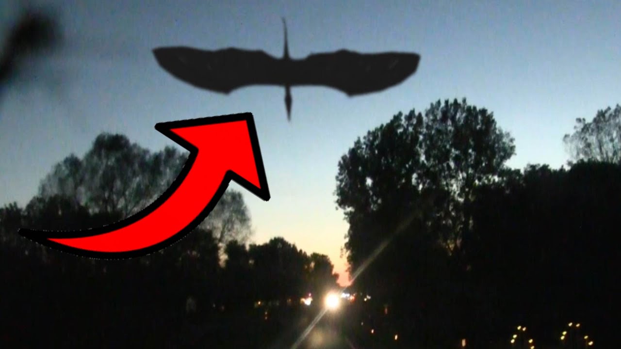 NEW. Alive Real DINOSAUR spotted in real life caught on camera 2020 ...