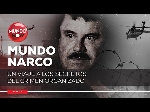MUNDO NARCO: Los secretos más oscuros del crimen organizado