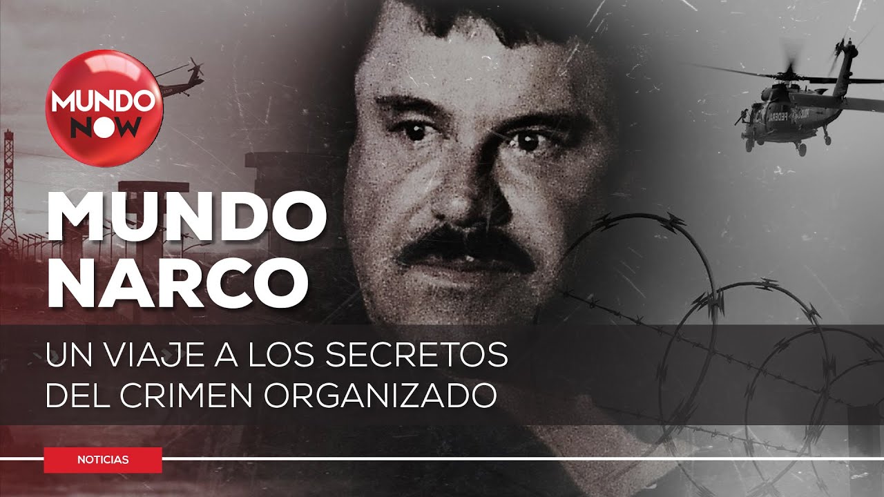 MUNDO NARCO: Los secretos más oscuros del crimen organizado - YouTube