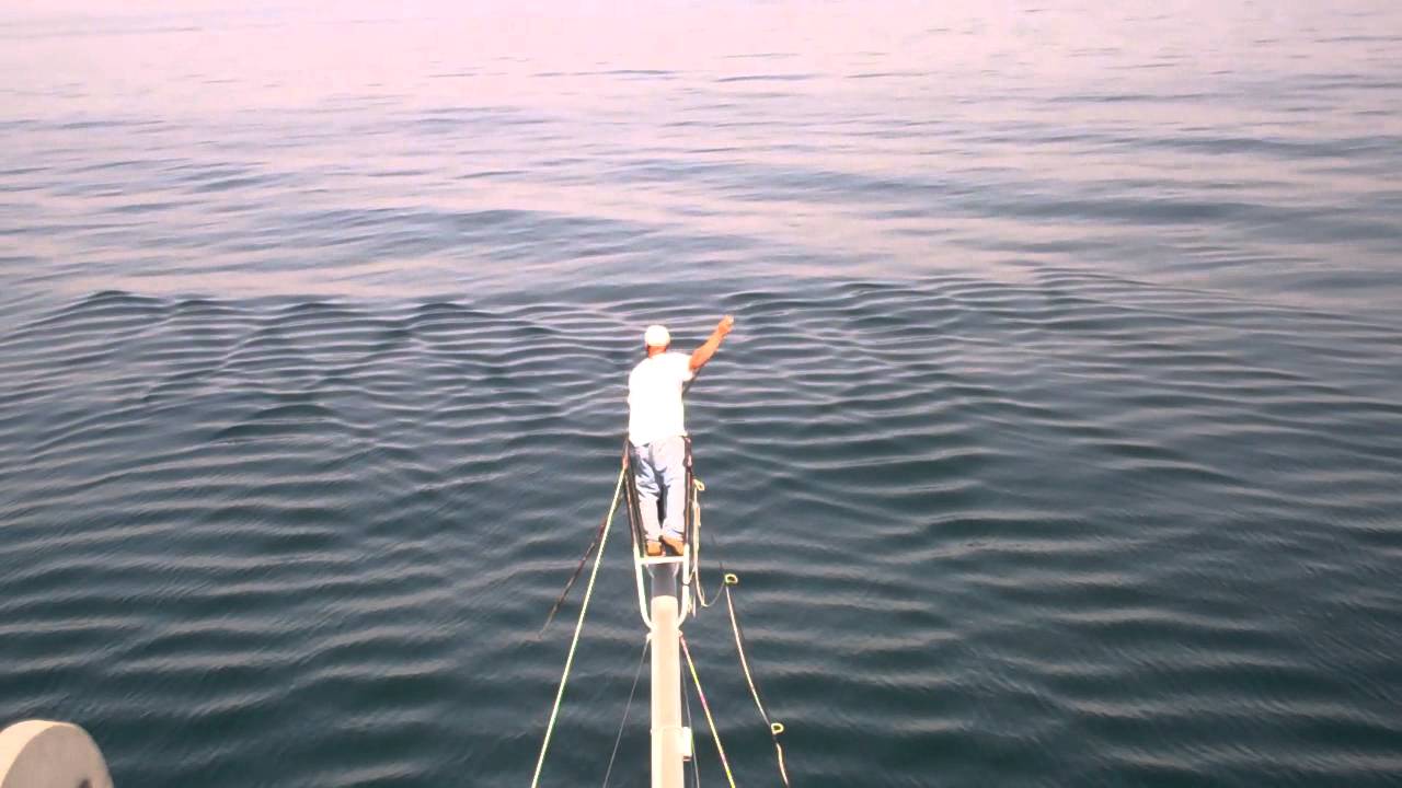 Harpooning Tuna F/V Christina !! - YouTube