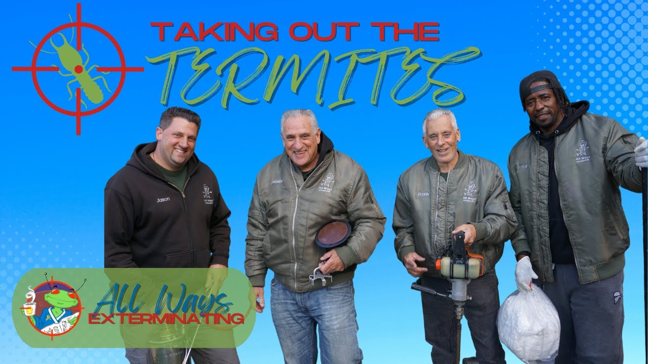 Taking Out the Termites with All-Ways Exterminating in Lynbrook NY ...