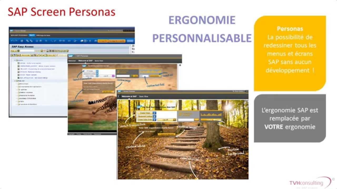 TVH Consulting vous présente SAP EHP7 - YouTube