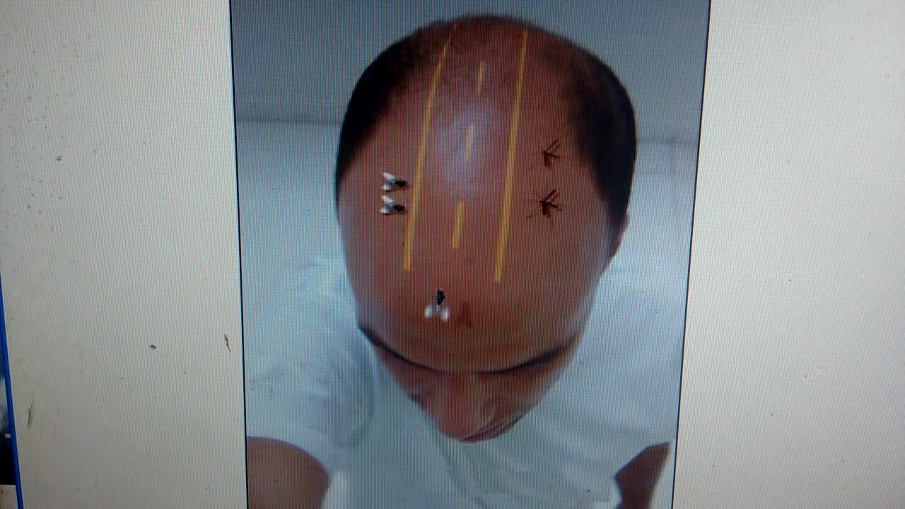 Bolsonaro e CARECA e o Alckmin não ? - YouTube