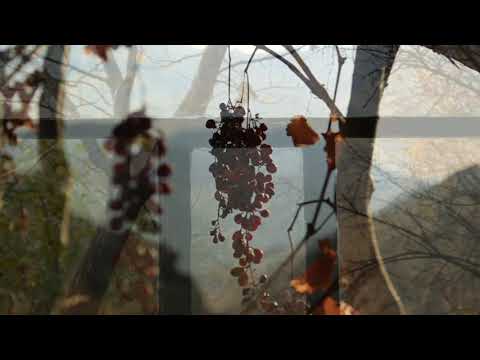 Irmak KAYA - GETMA GETMA