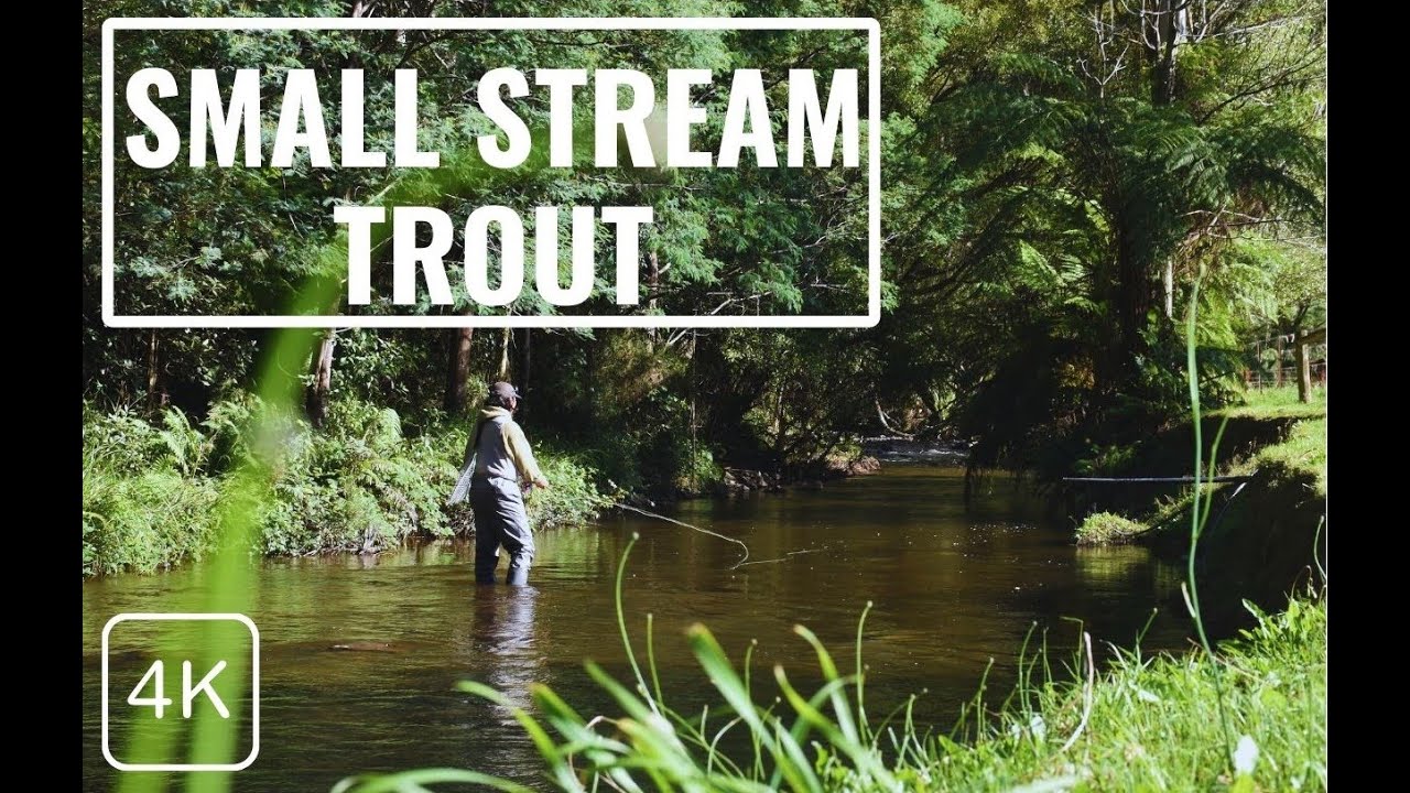 Flyfishing Small Streams for Trout | 4K UHD | Victoria, Australia - YouTube