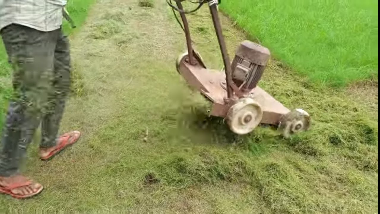 Take over property by nature attempts | let's cleaned and cutting to ...