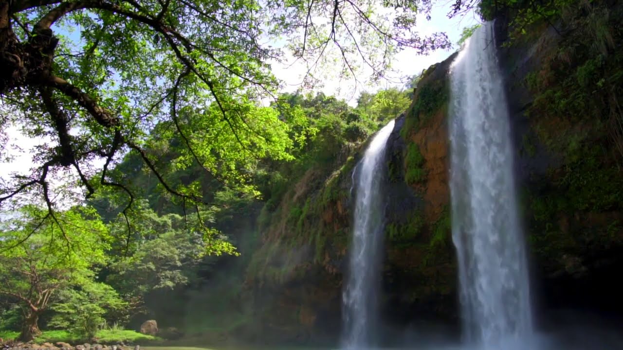 Calming Jungle Waterfall (Morning). Relaxing Nature Sounds. (10 hours ...