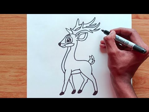 How to Draw a Deer | Dear Drawing | Sketch Drawing | Easy Sketches ...