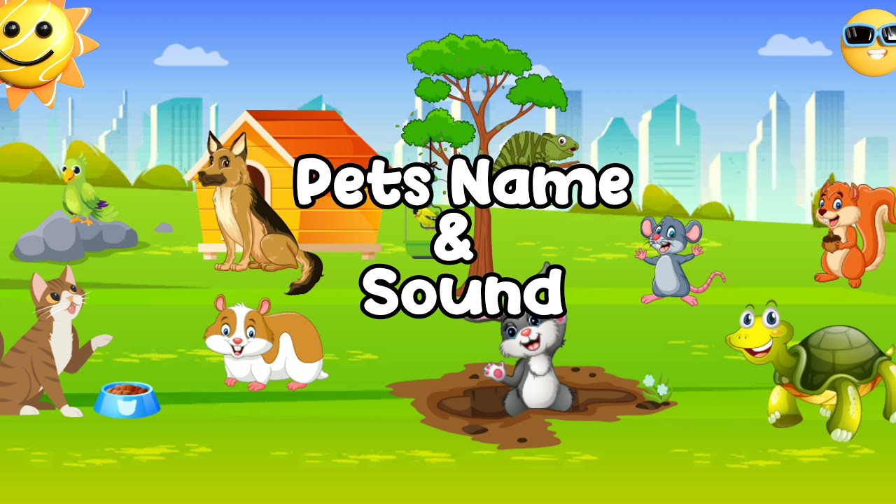 Let's Get to Know ! Pet Animals Names and Sounds | Educational Videos ...