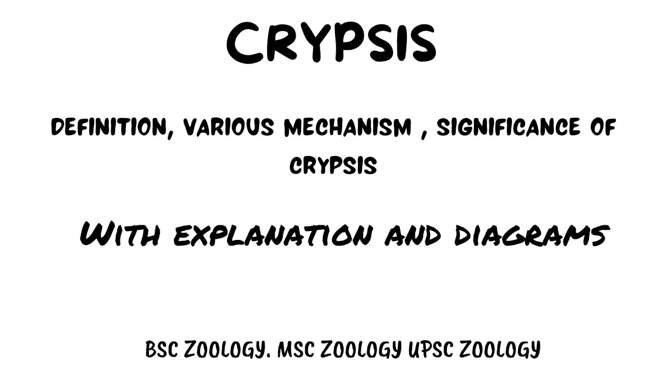 Crypsis - various mechanism with notes - YouTube