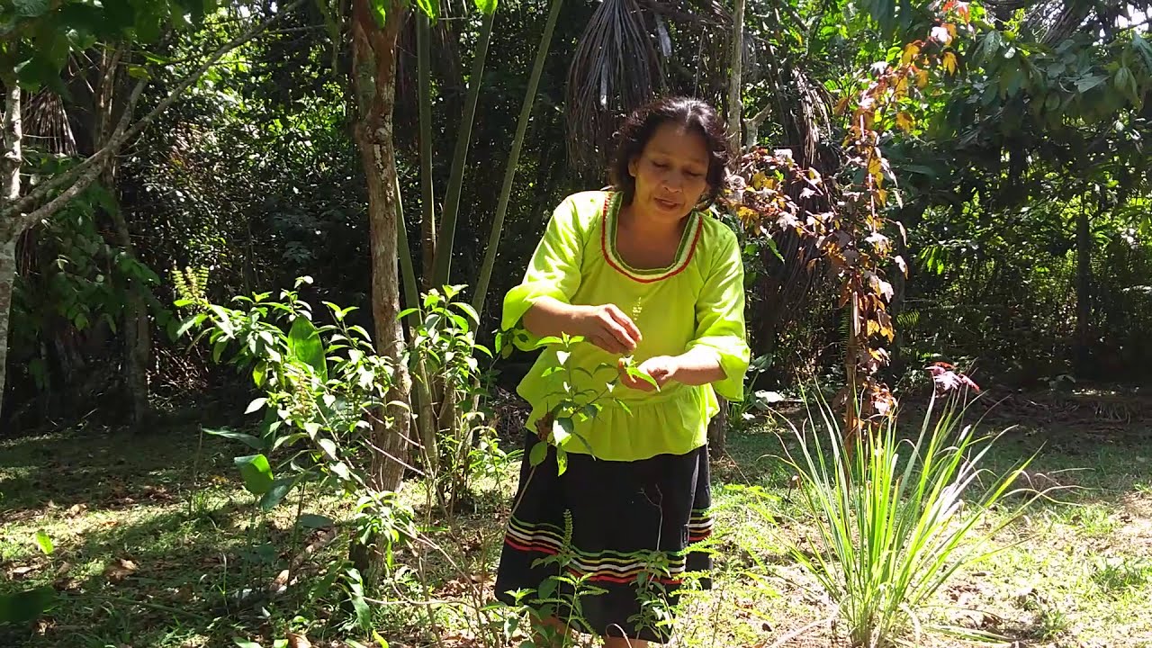 Cocama tribe - Botanical garden - YouTube
