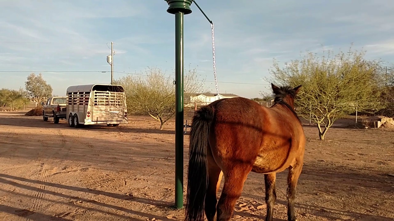 First time on the patience pole - YouTube