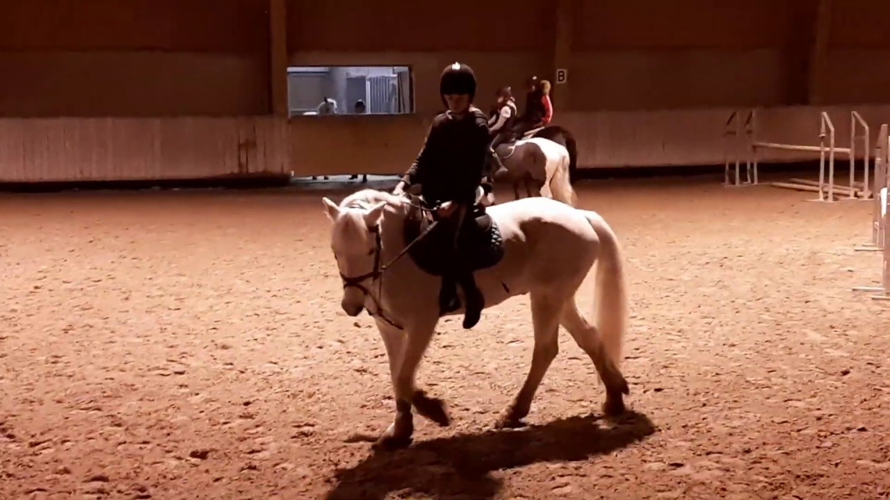[Equitation] Elle le remonte Enfin!!!👌 - YouTube